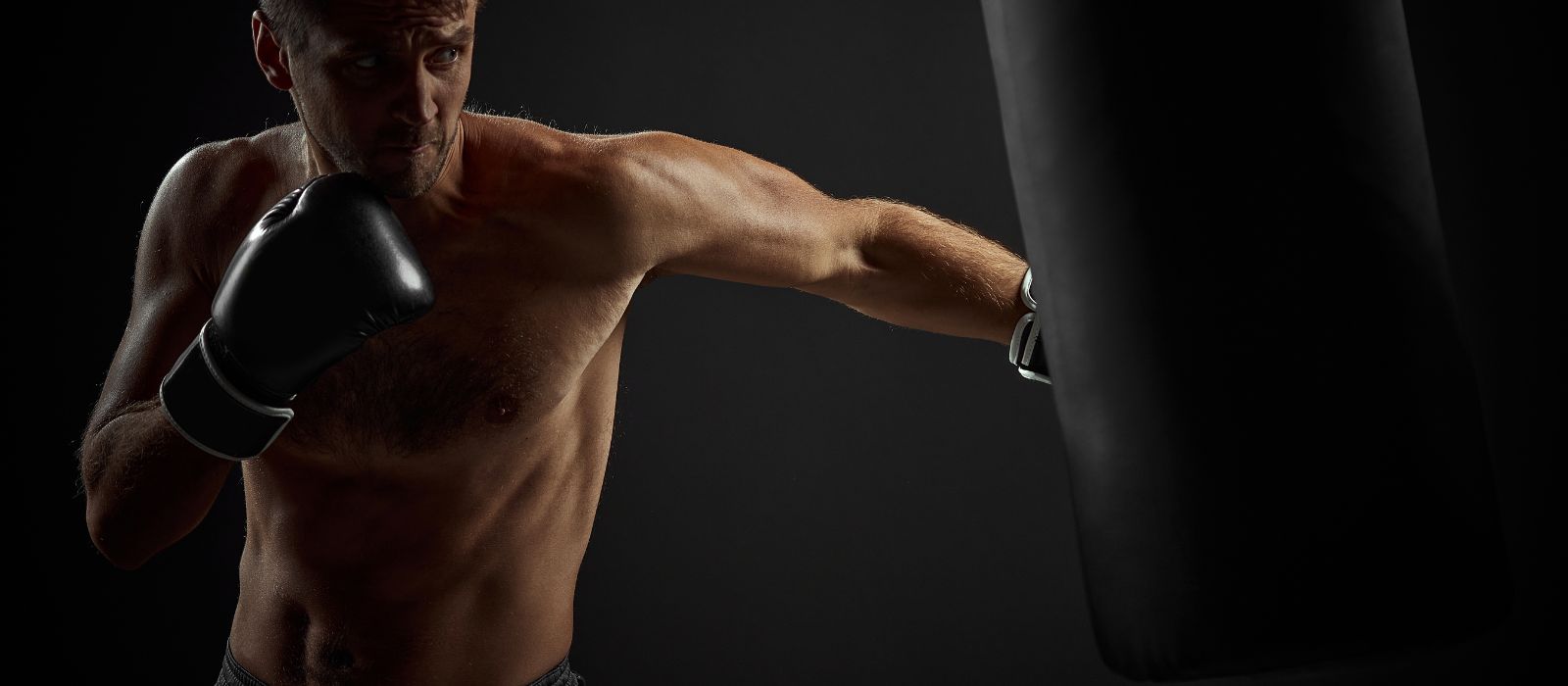 Guia para comprar o Saco de Boxe – Combat Arena